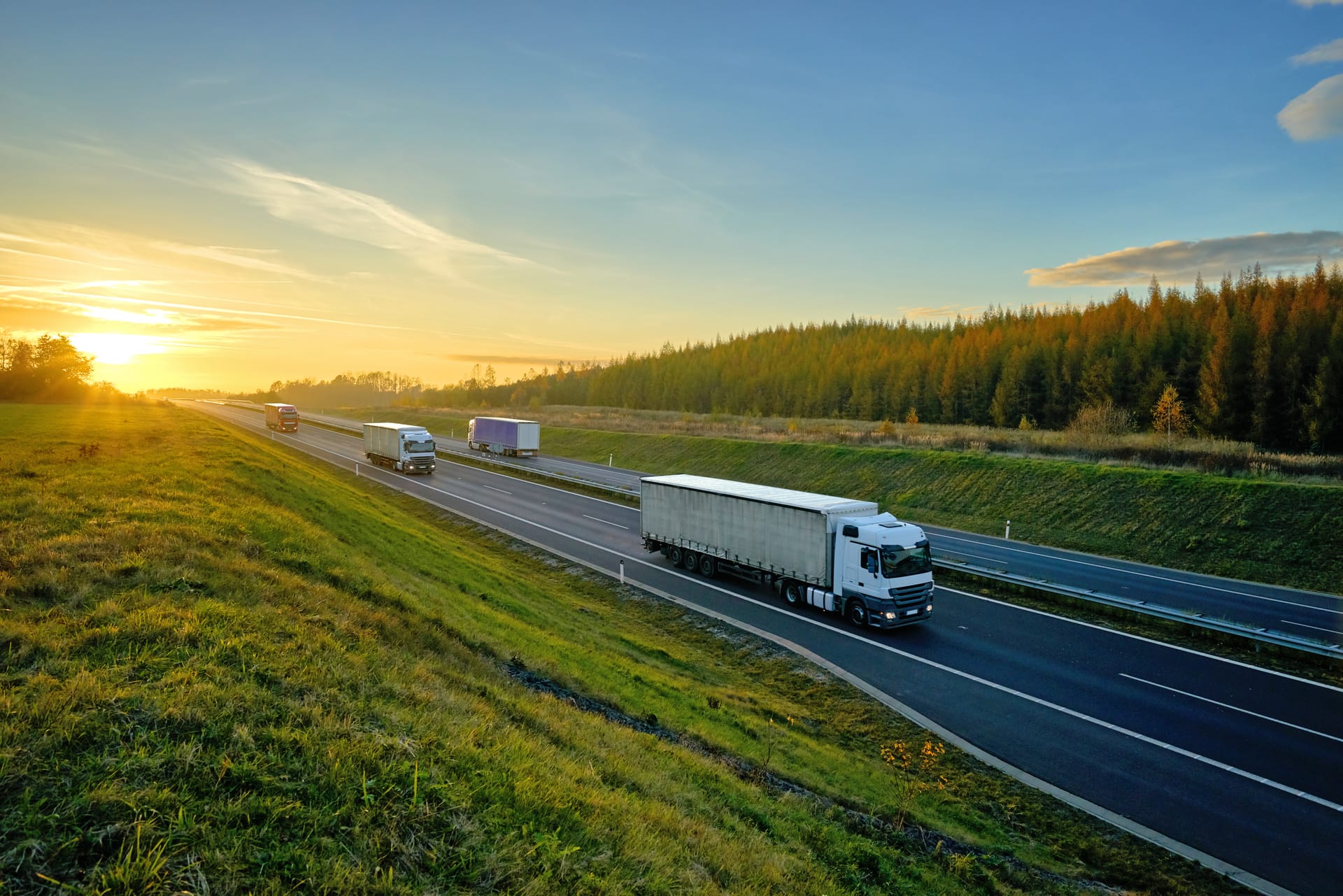 SGS Maco - Douanedienstverlener - Ondersteuning douanevraagstukken